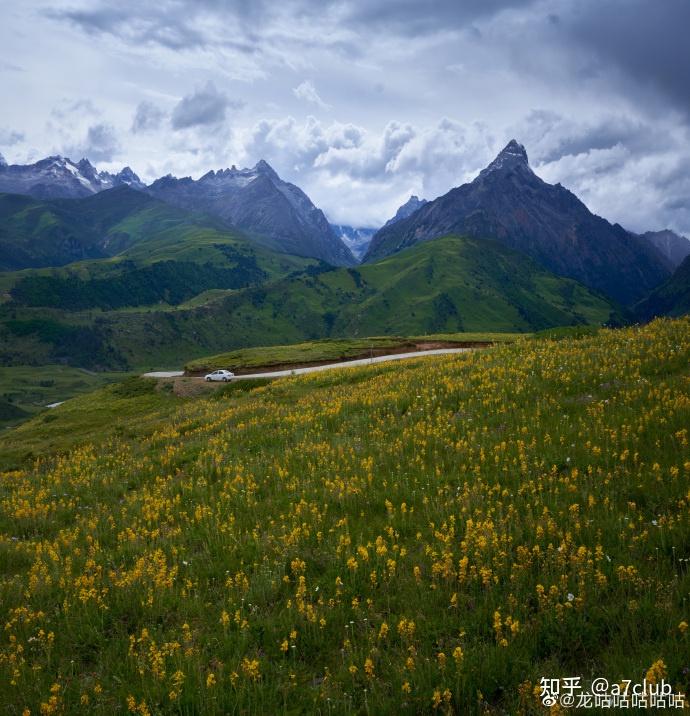 a7club-每日作品精选（2022.8.23） - 知乎