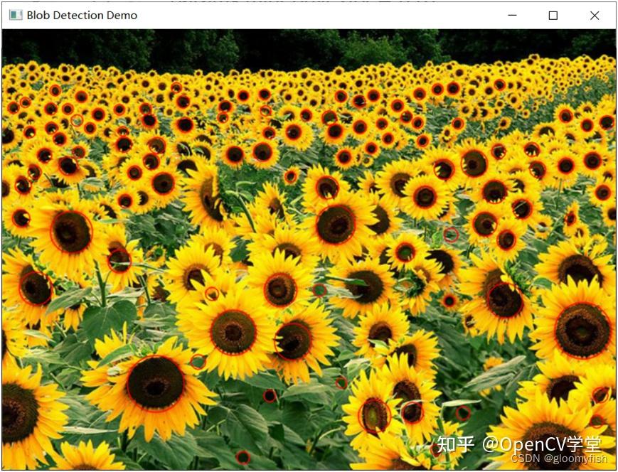【奇技淫巧】OpenCV中Blob分析的两个关键技巧 - 知乎