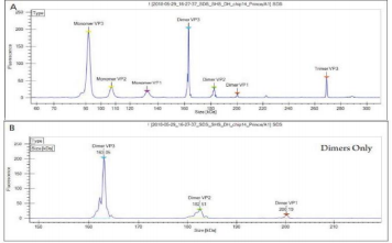 LabChip GXII Touch-贯穿蛋白研发流程的快速分析 - 知乎