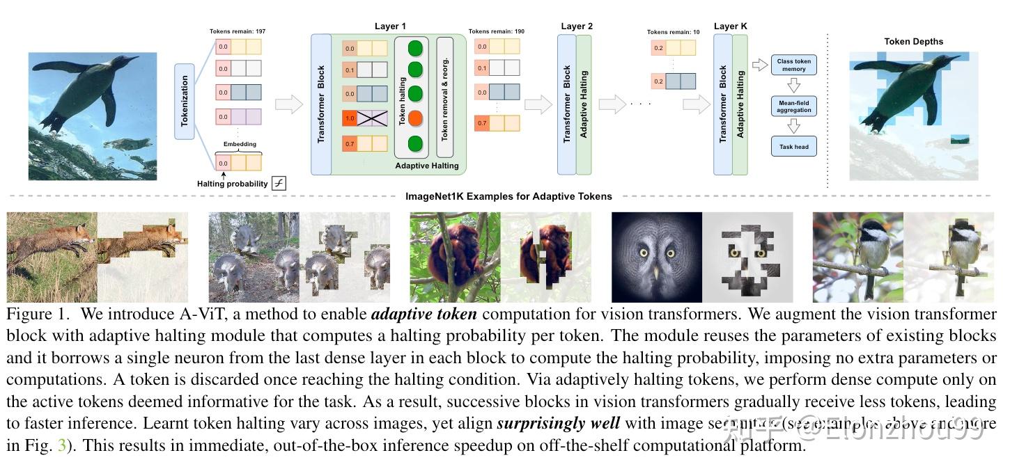 [2022CVPR]A-ViT: Adaptive Tokens for Efficient Vision Transformer（高效视觉转化器的自适应token） - 知乎