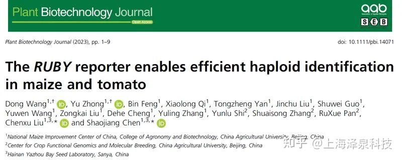 PBJ：作物通用型、高效可视化单倍体鉴别系统—RUBY - 知乎