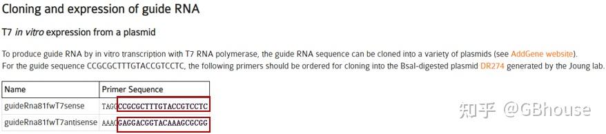 sgRNA实现细胞KO从引物设计到阳性细胞筛选-保证实用 - 知乎