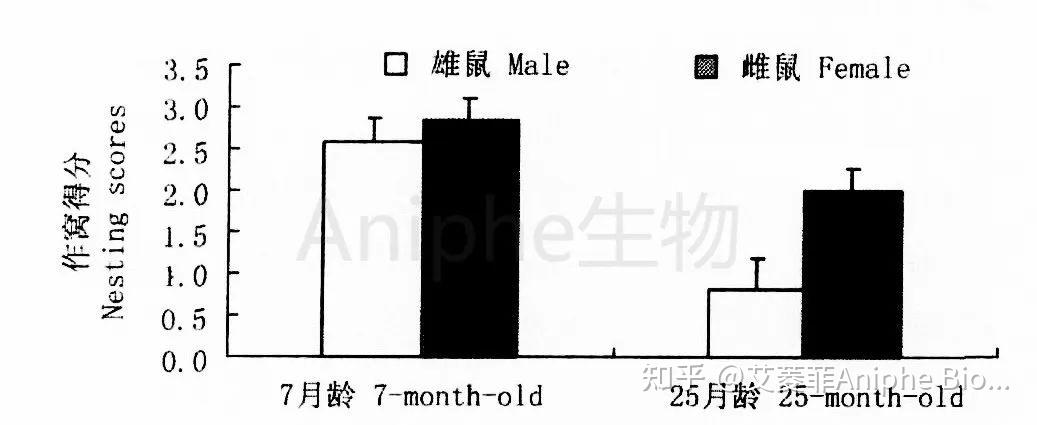 干货|最常见的实验鼠品系 —C57BL/6老龄鼠，这些你都知道吗↓ - 知乎