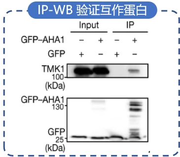 一站式IP打造|第一弹.IP全流程解析 - 知乎