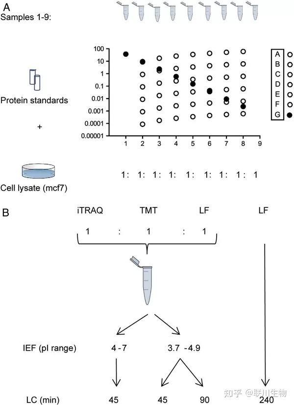 做蛋白组TMT比iTraq实验设计以及优劣对比|蛋白质组 - 知乎