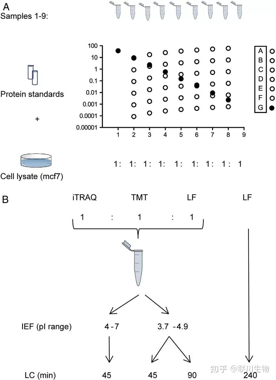 做蛋白组TMT比iTraq实验设计以及优劣对比|蛋白质组 - 知乎