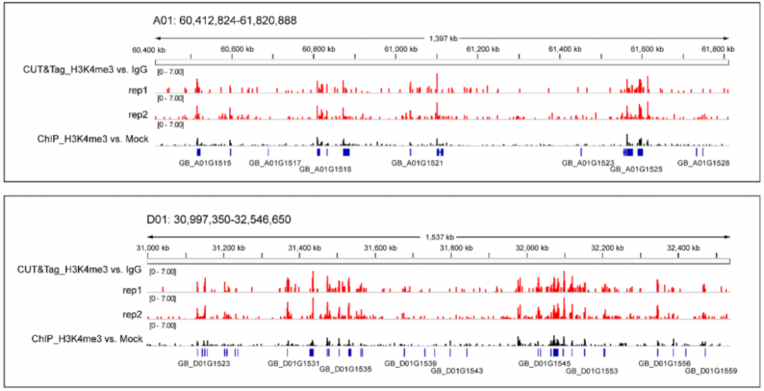 解析表观遗传学的工具——CUT&Tag - 知乎