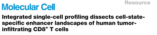 文献解读|Molecular cell （IF=19.328）单细胞多组学解析人类肿瘤浸润T淋巴细胞增强子图谱 - 知乎