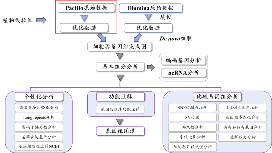 一文读懂细胞器基因组！ - 知乎