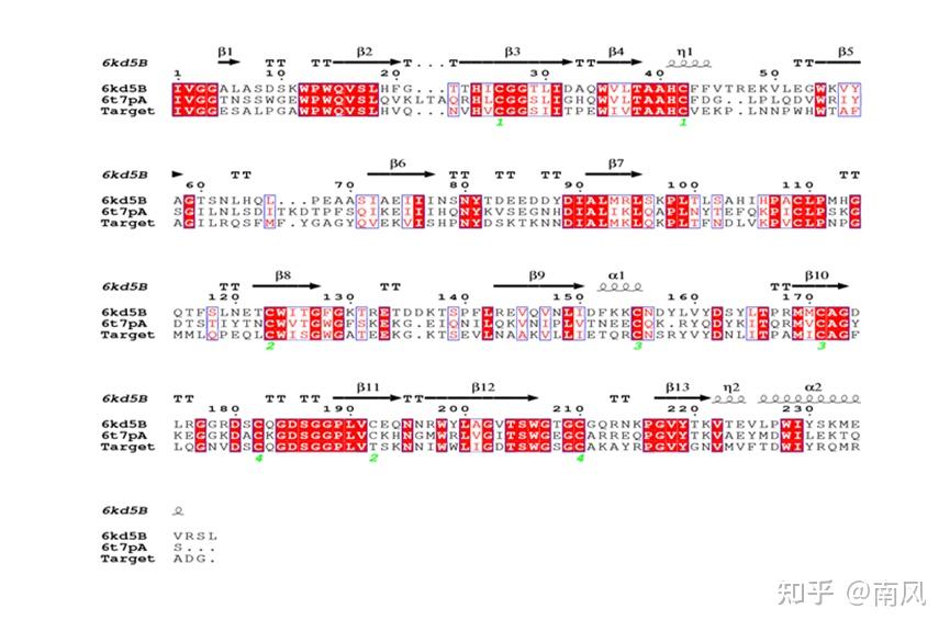 受体 配体结合亲和性分析—1受体的同源模建及评估 知乎 5082
