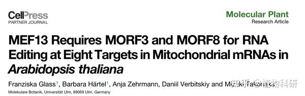 酵母三杂交Y3H系统助力Molecular Plant发表——影响拟南芥线粒体RNA编辑位点的分子机制研究 - 知乎