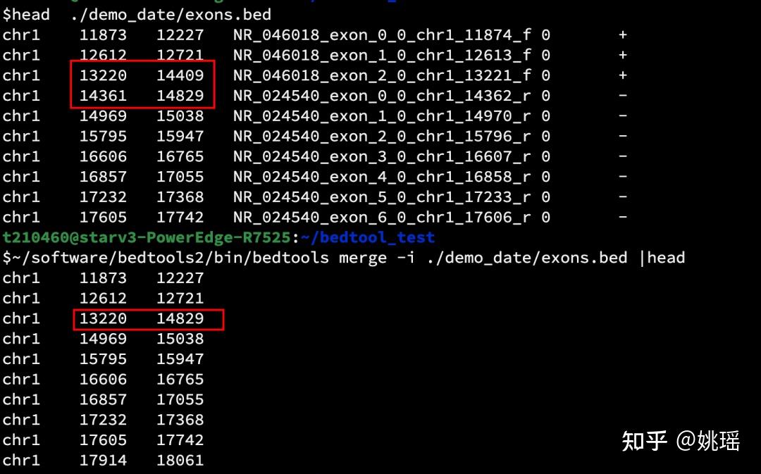 BEDtools——如何利用它进行基因组学数据分析？ - 知乎