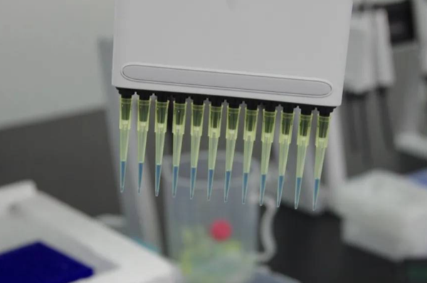 WB实验问题总结（Western blot蛋白质印迹） - 知乎