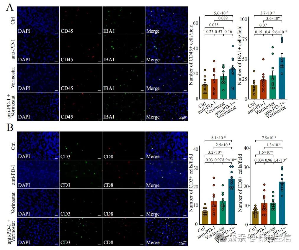 国产技术新突破！Science重磅，首个癌症eRNA图谱问世 - 知乎