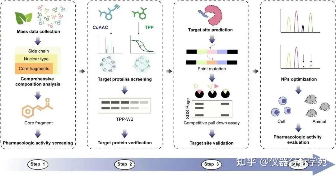 中国中医科学院中药研究所、北京中医药大学多团队合作开发中药复杂体系靶标研究新策略—基于片段的靶标研究（FBTR） - 知乎