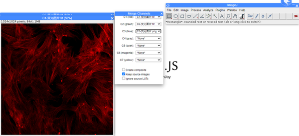 利用Image J 拆分和Merge荧光图片 - 知乎