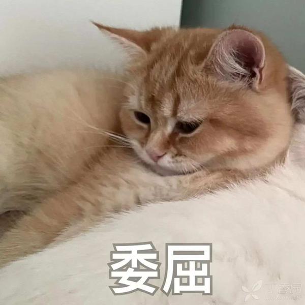 别再用浏览器机翻啦！正经科普：UpToDate的临床专题究竟是如何被翻译过来的？ - 知乎