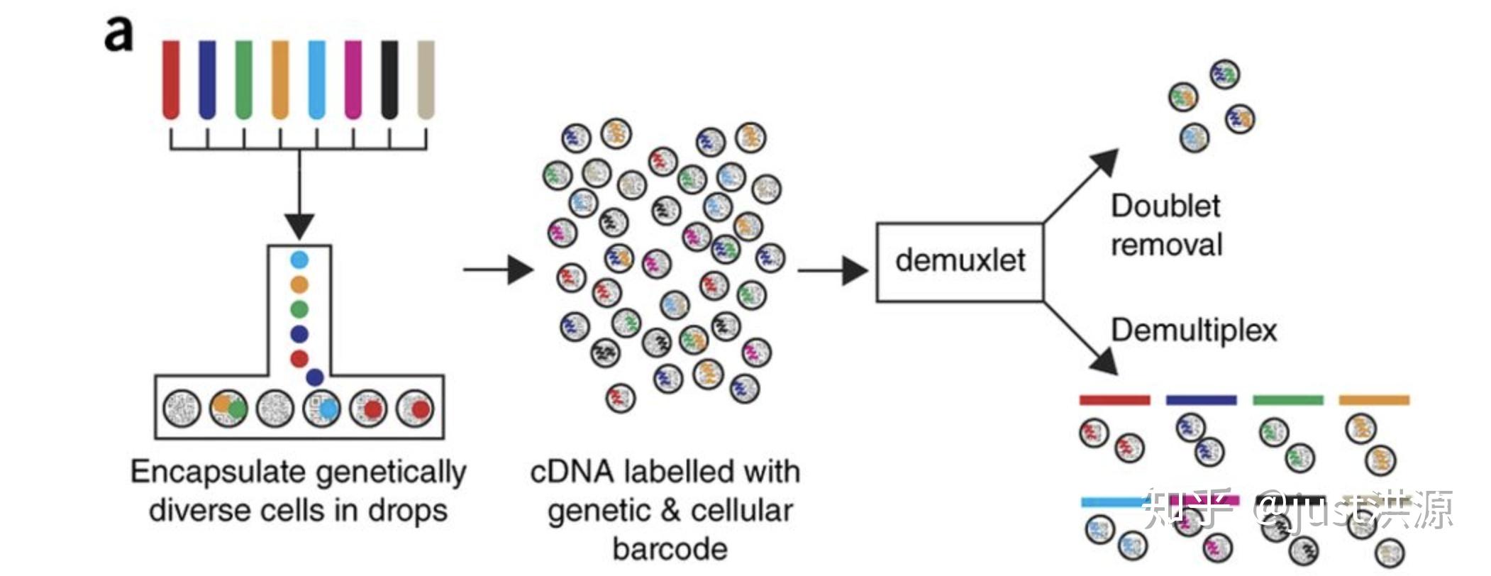 scRNA-seq入门——第三章 质控设置 - 知乎