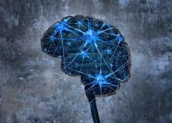 记忆是怎么形成的？MIT 科学家揭示神秘过程 - 知乎