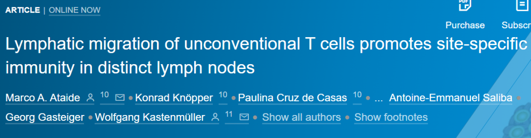 Immunity | 非常规T细胞的迁移促进不同淋巴结位点特异性免疫 - 知乎