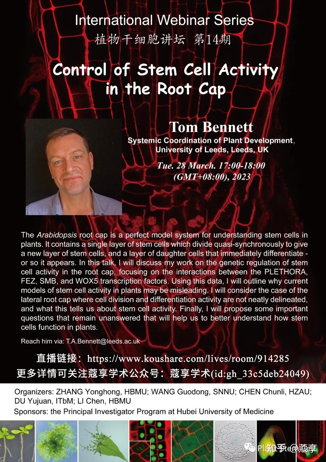 control-of-stem-cell-activity-in-the-root-cap