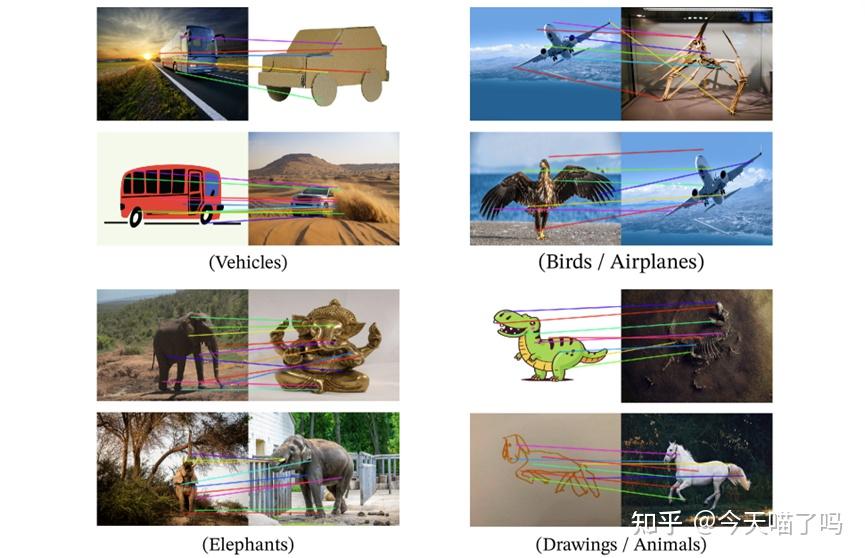 视觉基础模型：DINOv2 after SAM - 知乎