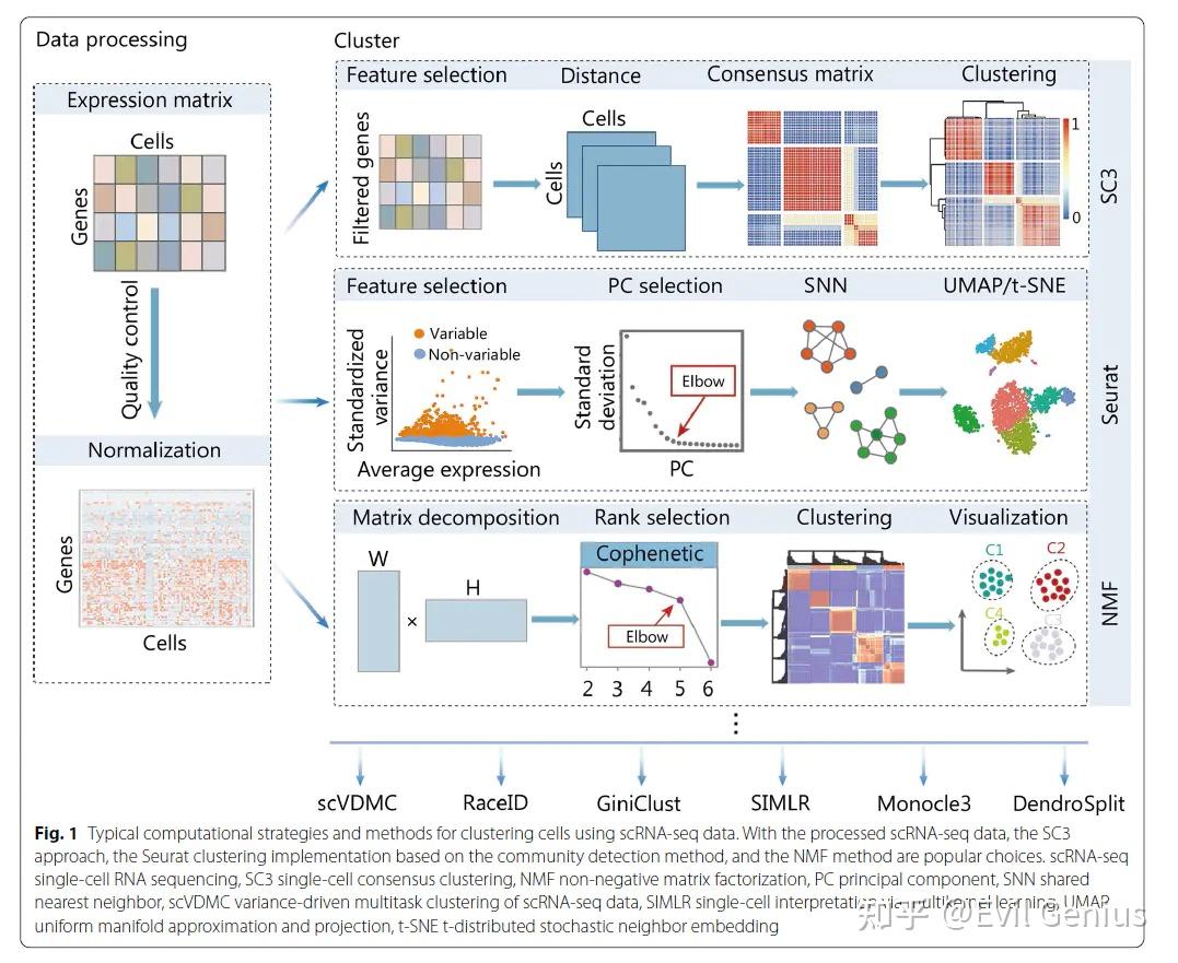生物医学研究和临床应用中单细胞RNA-seq数据分析指南 - 知乎