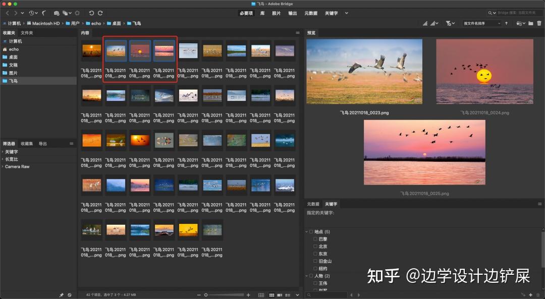 如何用Adobe Bridge管理图片 - 知乎