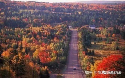 这大概秋季全球最美线路吧-加拿大枫叶大道 - 知乎