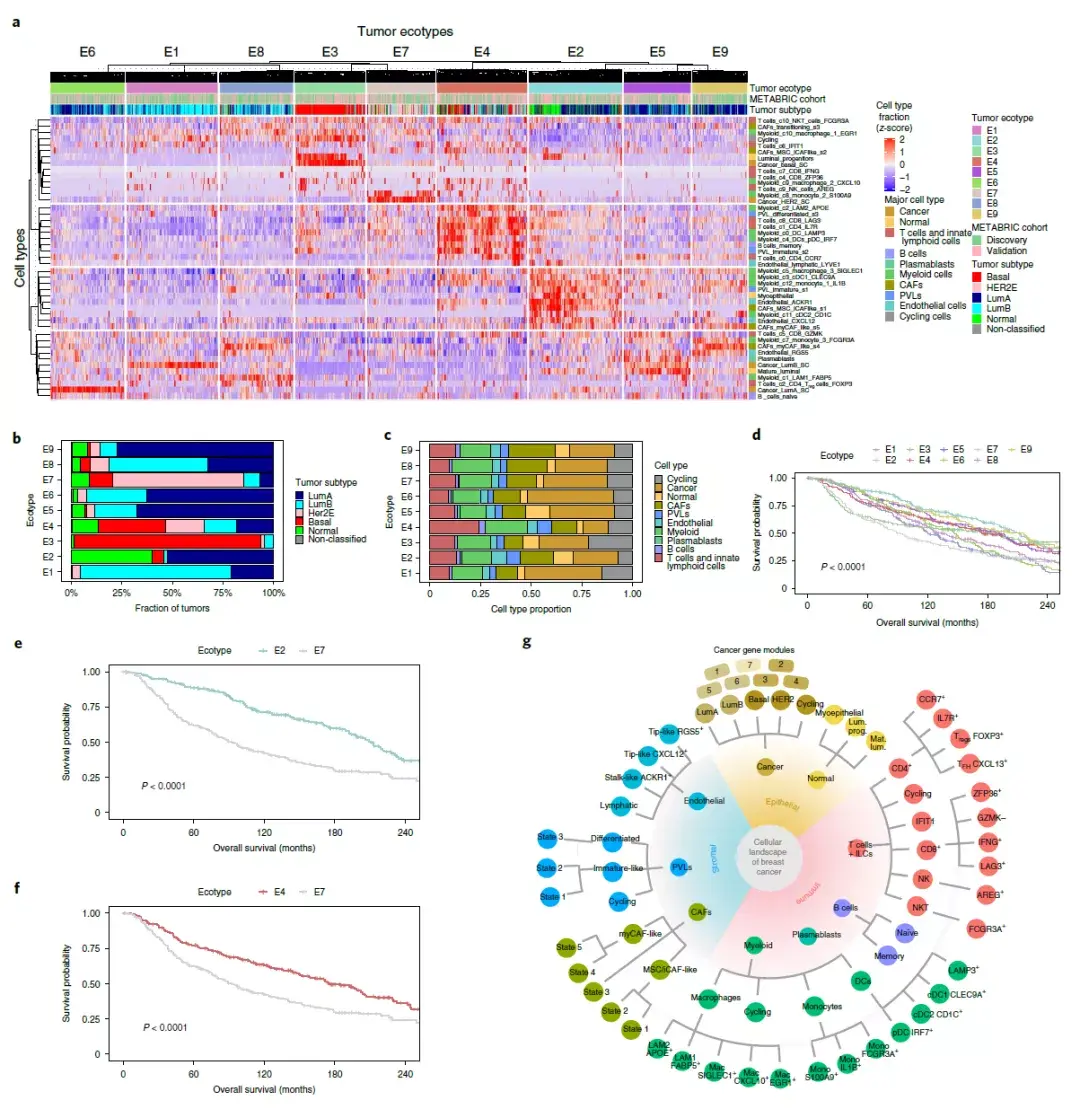 Nat Gen | 人类乳腺癌单细胞空间图谱 - 知乎