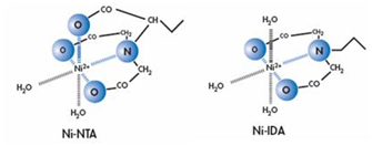 His-Tag蛋白纯化原理、步骤及常见问题 - 知乎