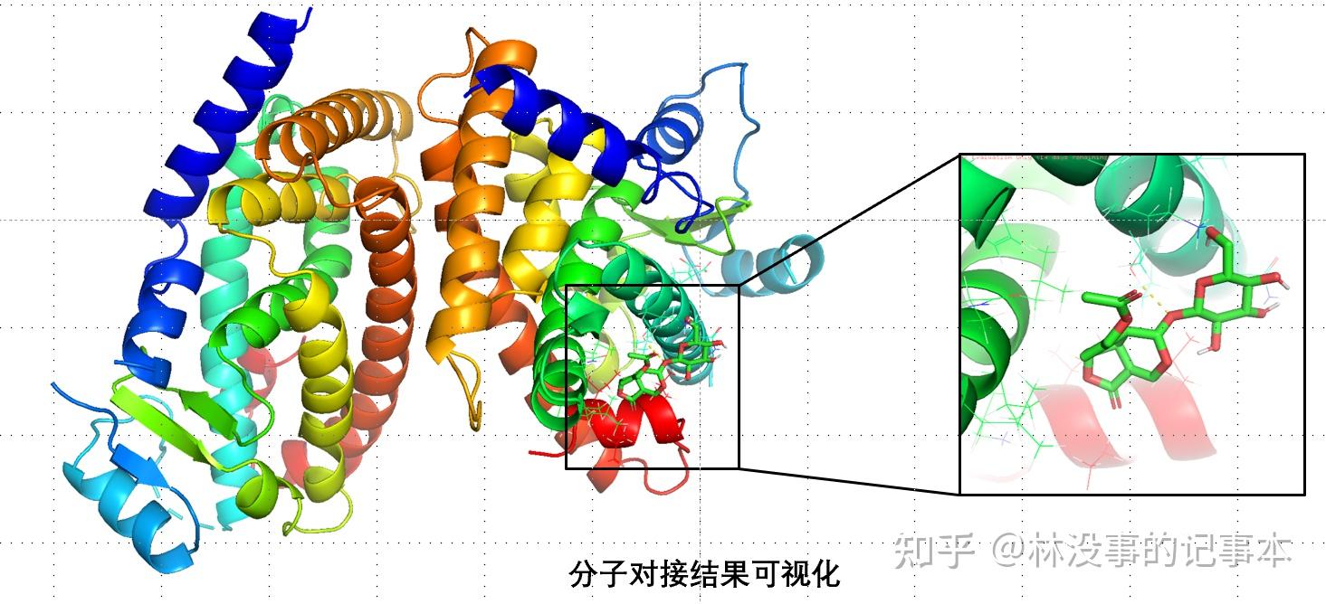 AutoDock结果解读 - 知乎
