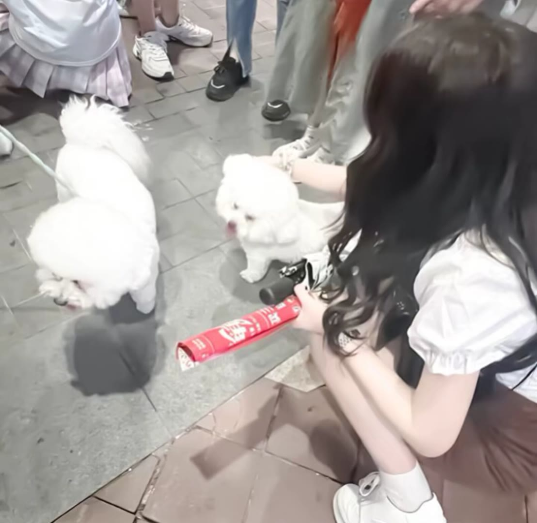 第1316期｜滤镜头像：0329绝绝子奶油滤镜微信头像 - 知乎