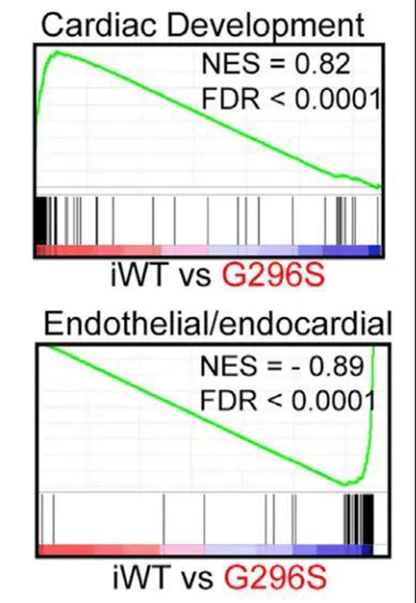 一文掌握GSEA，超详细教程！ - 知乎