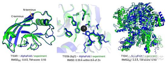 陈巍： 3.10 蛋白质求解网络AlphaFold2 —《AI芯片设计：原理与实践》节选 - 知乎