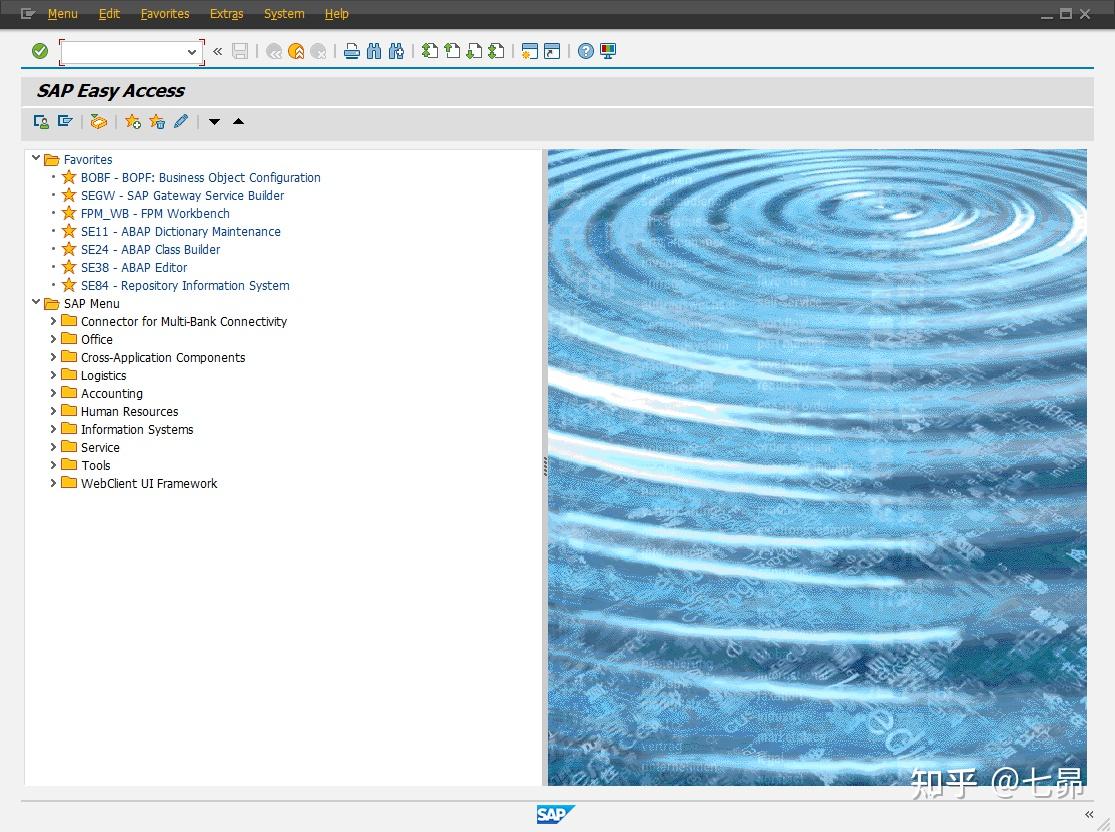 思爱普（SAP）真难之GUI主题设置 - 知乎