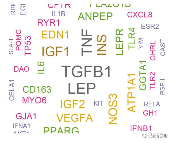 2021-05-03_制作最热门基因词云图ShinyApp：第二天笔记 - 知乎