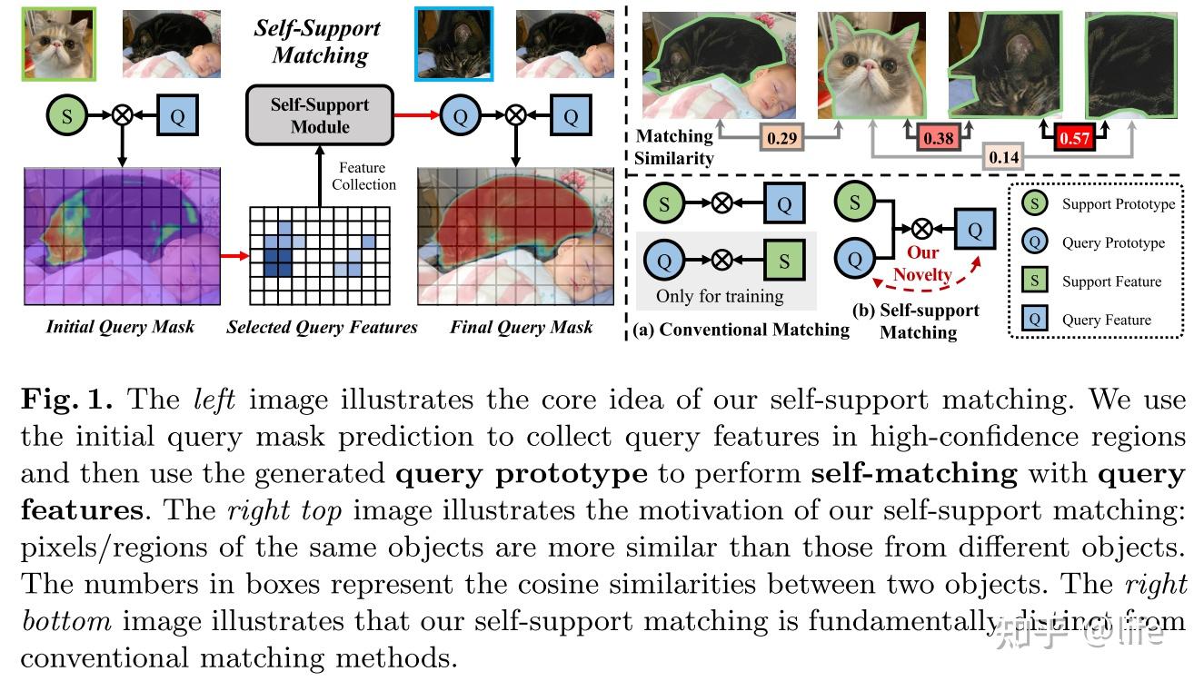 2022ECCV.Self-Support Few-Shot Semantic Segmentation - 知乎