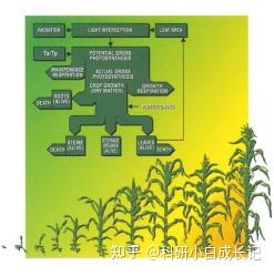 WOFOST模型在不同作物类型、气候条件、管理措施等方面的应用案例 - 知乎