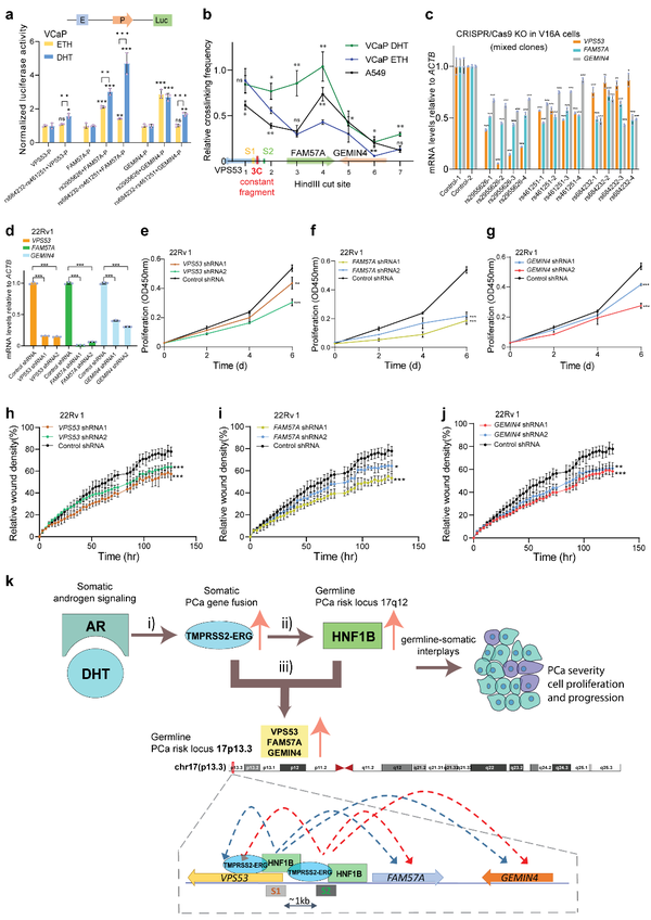 Nat Commun︱卫功宏团队揭示广泛的胚系-体细胞突变互作促进前列腺癌进展 - 知乎