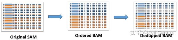 深入梳理snp-calling流程 - 知乎