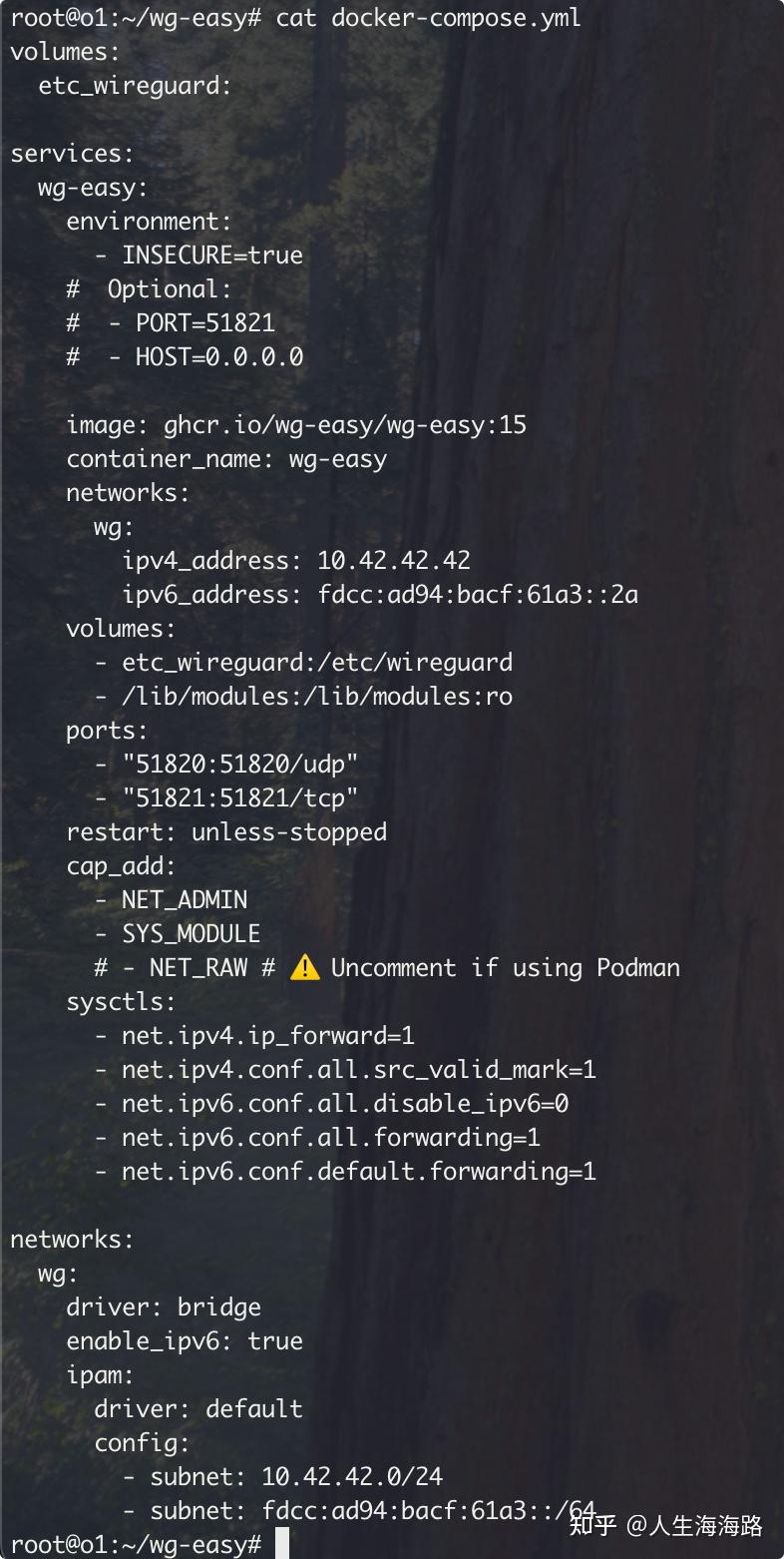 一键拥有可视化 WireGuard VPN：用 wg-easy 打造你的轻量级远程办公利器 - 知乎