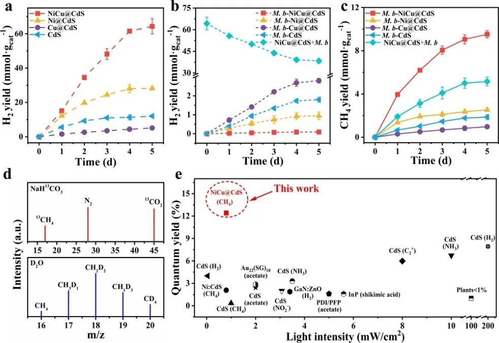 周顺桂&熊宇杰，最新Nature子刊！ - 知乎