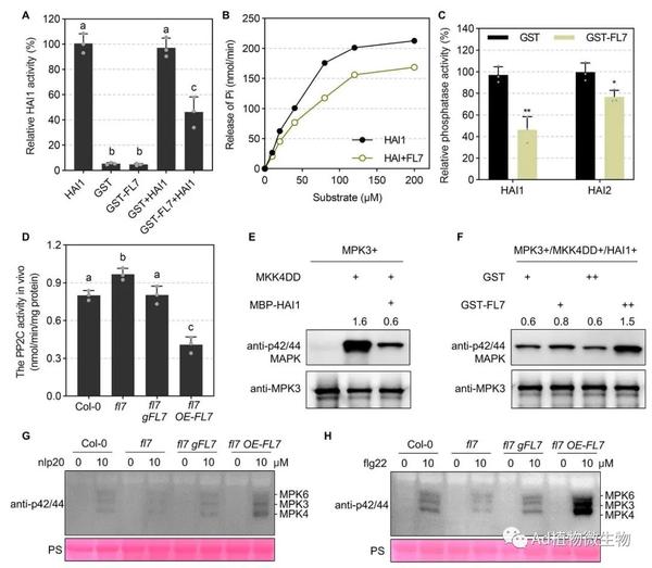 Plant Cell | 南京农业大学研究揭示RNA结合蛋白调节植物免疫的机制！ - 知乎