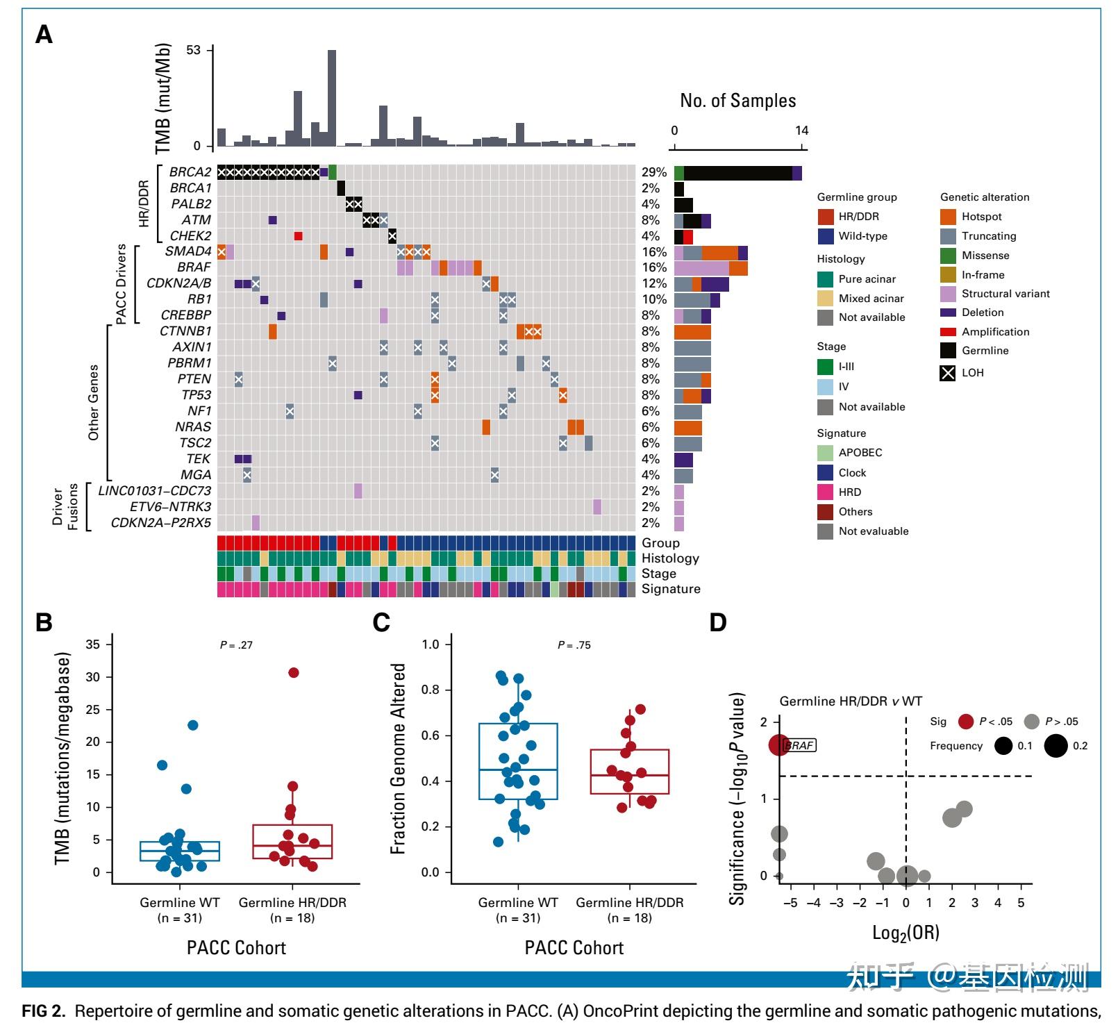 基因组分析揭示胰腺腺泡细胞癌的胚系易感性和同源重组缺陷 - 知乎