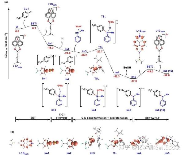 JACS：还原型非那烯催化的无金属C-N键偶联反应 - 知乎