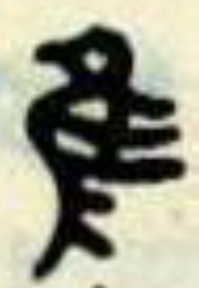 古文字构造象形字篇 - 知乎