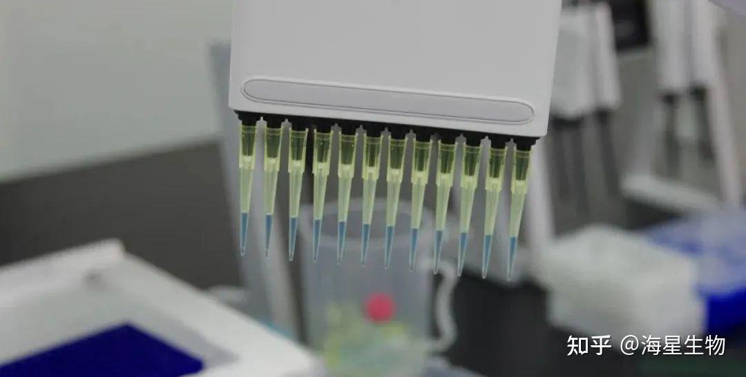 分子诊断:qPCR/NGS/数字PCR技术 - 知乎
