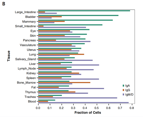 Science | The Tabula Sapiens：人类的多器官、单细胞转录组图谱 - 知乎