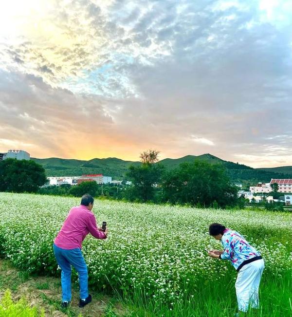 8月，夏日终曲 - 知乎